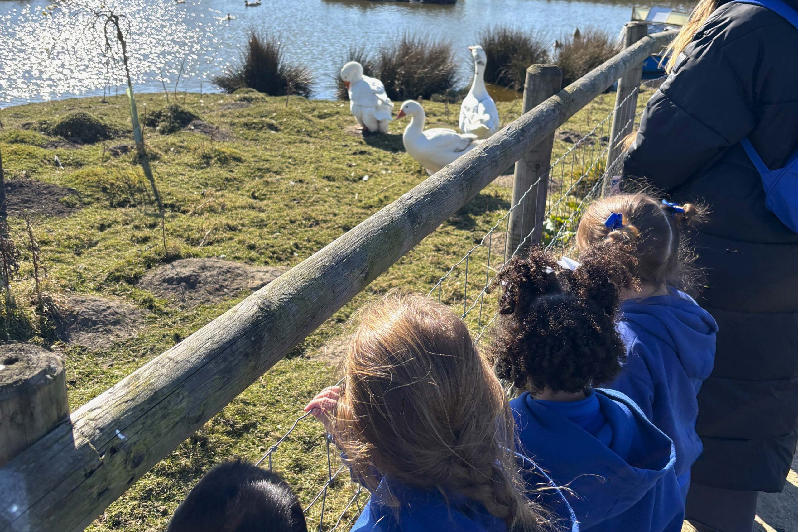 Early Years visit to Cockfields Farm - Bridgewater School